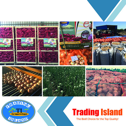 Welcome to Trading Island for import & export